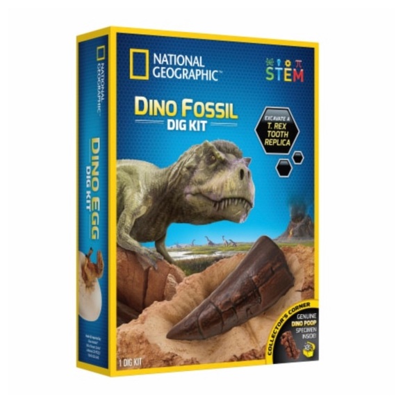 National Geographic | Toys | Nwt National Geographic Dino Fossil Dig ...